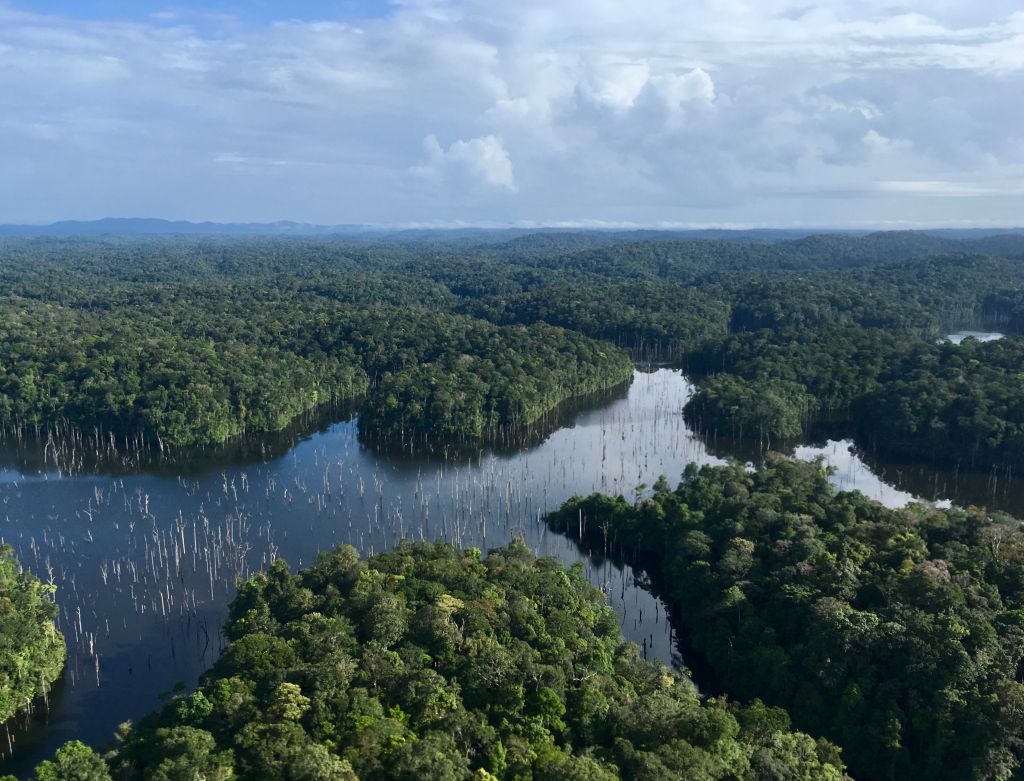 Découvre la Guyane : Forêt, amazonie, terres, ...Nature - Yana-J